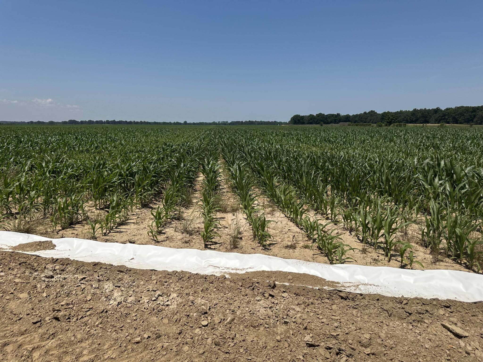 Listings | BrokerSouth | Real Estate Farmland Brokerage